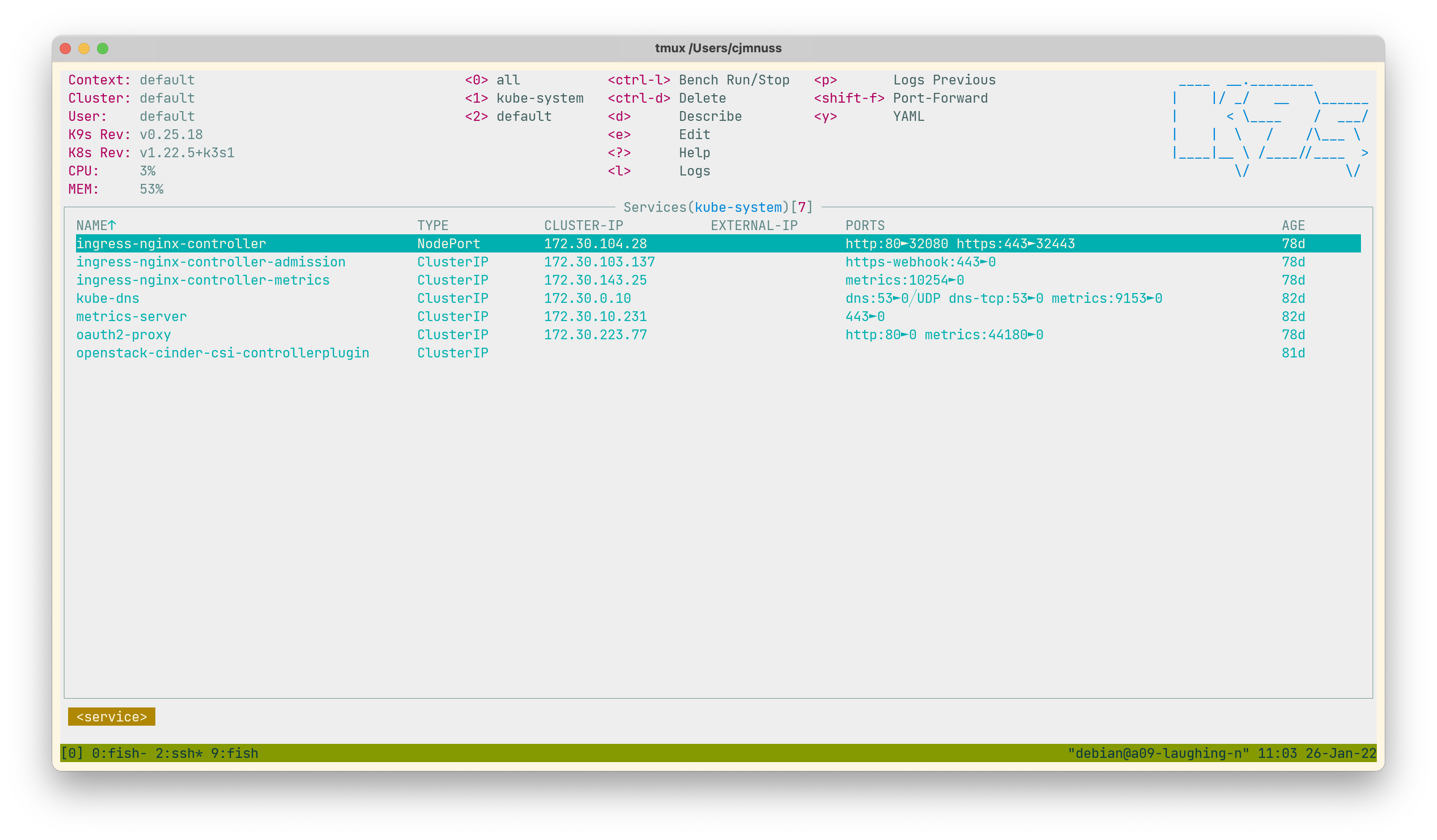 color schemes on linux not working properly · Issue #1442 · derailed/k9s · GitHub