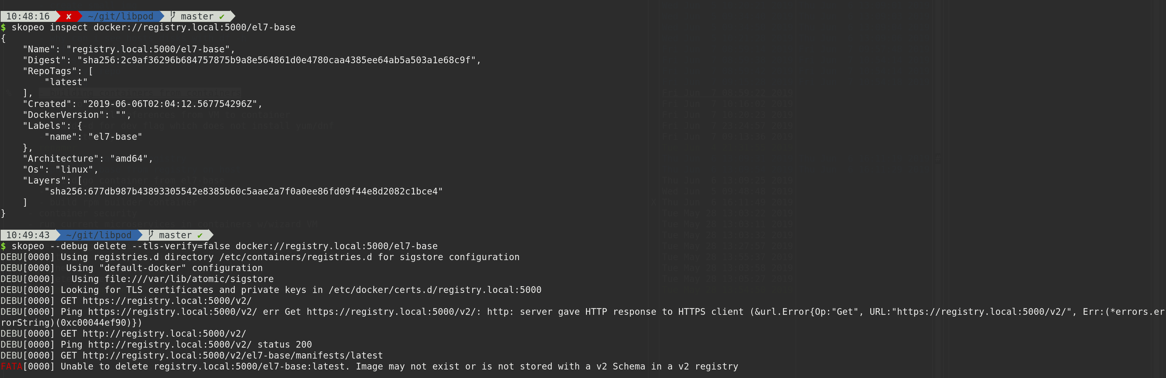 Unable to delete from local docker registry · Issue #667 · containers/skopeo · GitHub