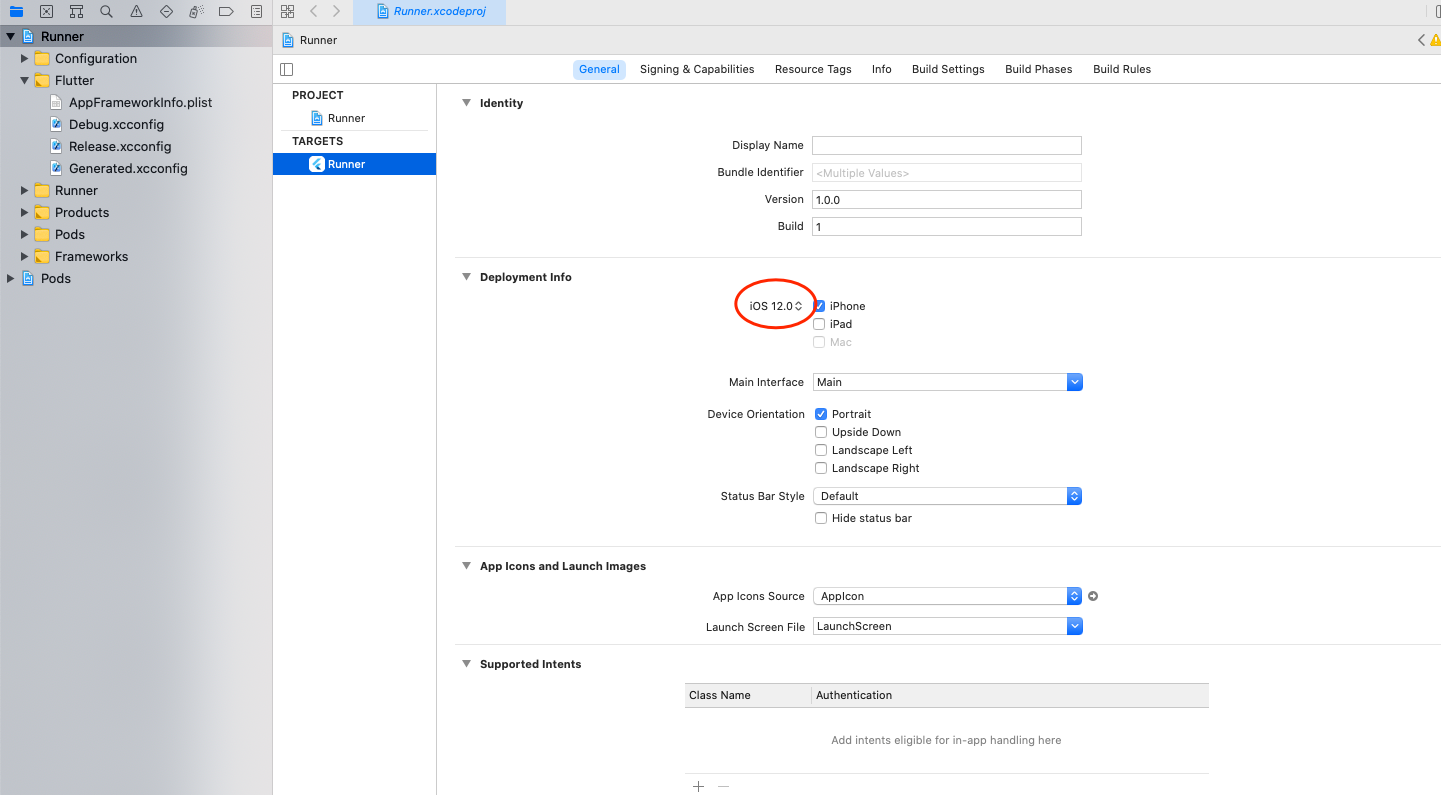 Version Bump Min Ios Version To 12 · Issue 134 · Icapps Flutter Template · Github