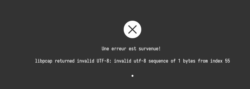 Error in use: invalid UTF-8 · Issue #120 · GyulyVGC/sniffnet · GitHub