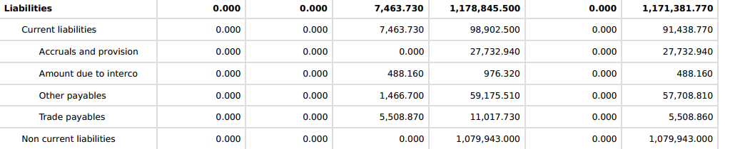 Financial Statements PDF should show decimal places according to System ...