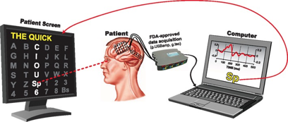 GitHub - NiubilityDiu/BayesInferenceEEGBCI: Bayesian Inferences on Neural Activity in EEG-Based ...