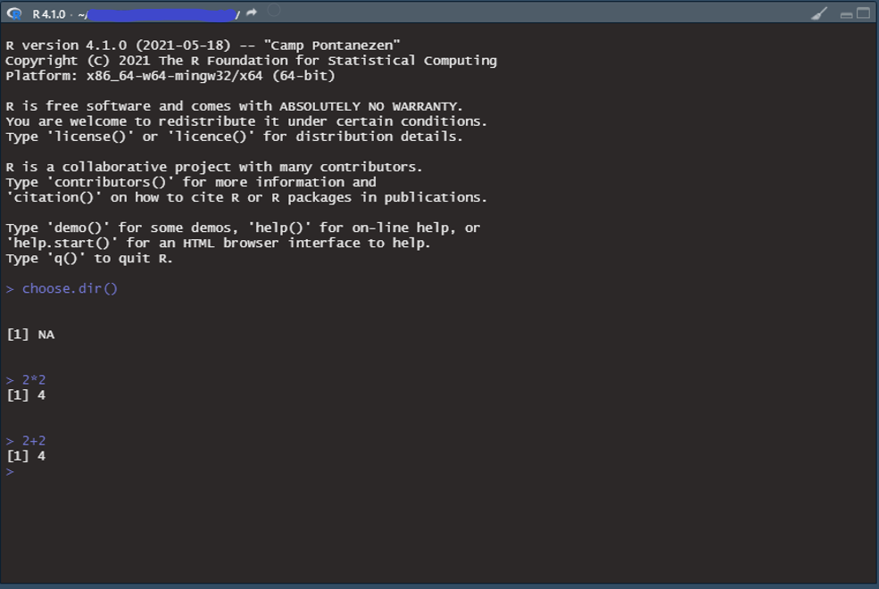 File explorer prompt causes extra lines to appear in console. · Issue ...