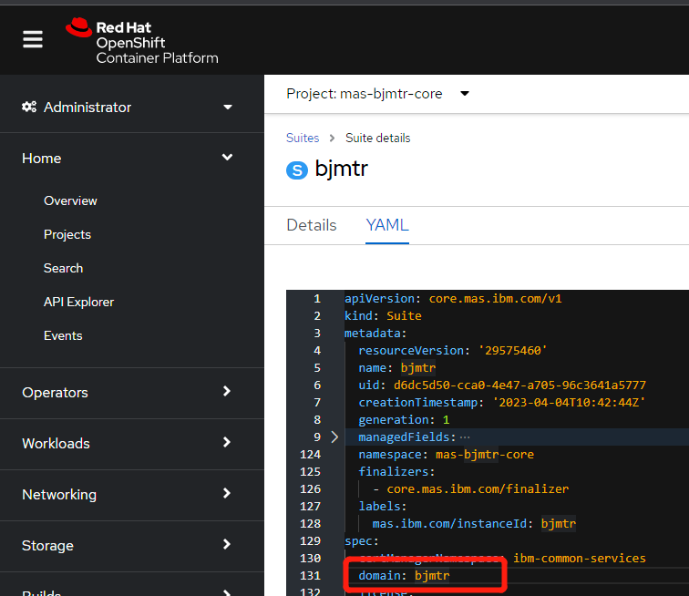 mascli 3.19.0 - create mas core route incorrectly · Issue #758 · ibm-mas/ansible-devops · GitHub