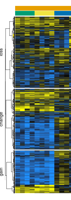 Extracting kmeans clusters or dendrogram from heatmap · Issue #136 · jokergoo/ComplexHeatmap ...