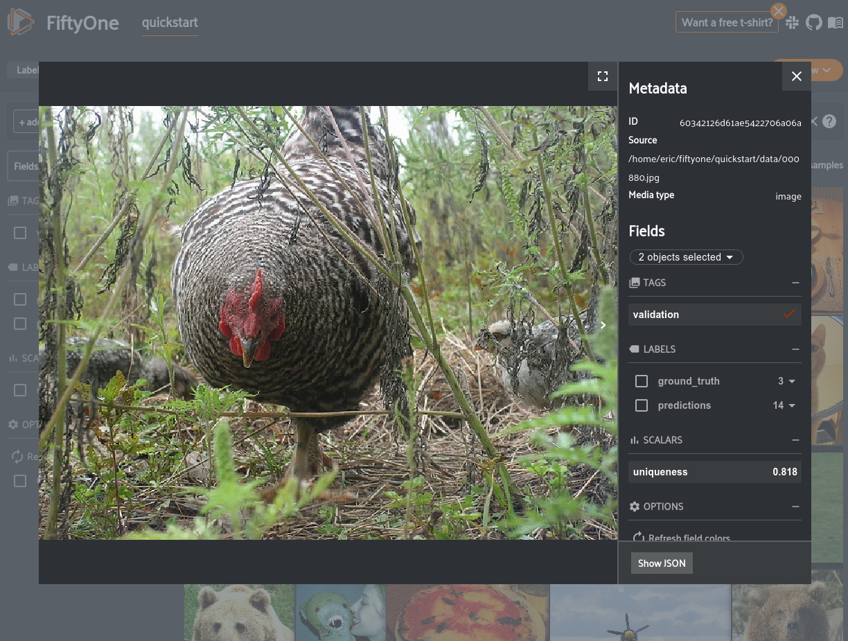 Bug You Can Select Objects In The App From Unselected Fields · Issue 883 · Voxel51fiftyone