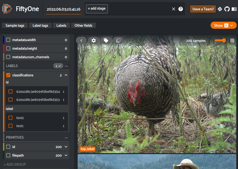[BUG] Classifications label bubbles not displayed correctly · Issue #1820 · voxel51/fiftyone ...