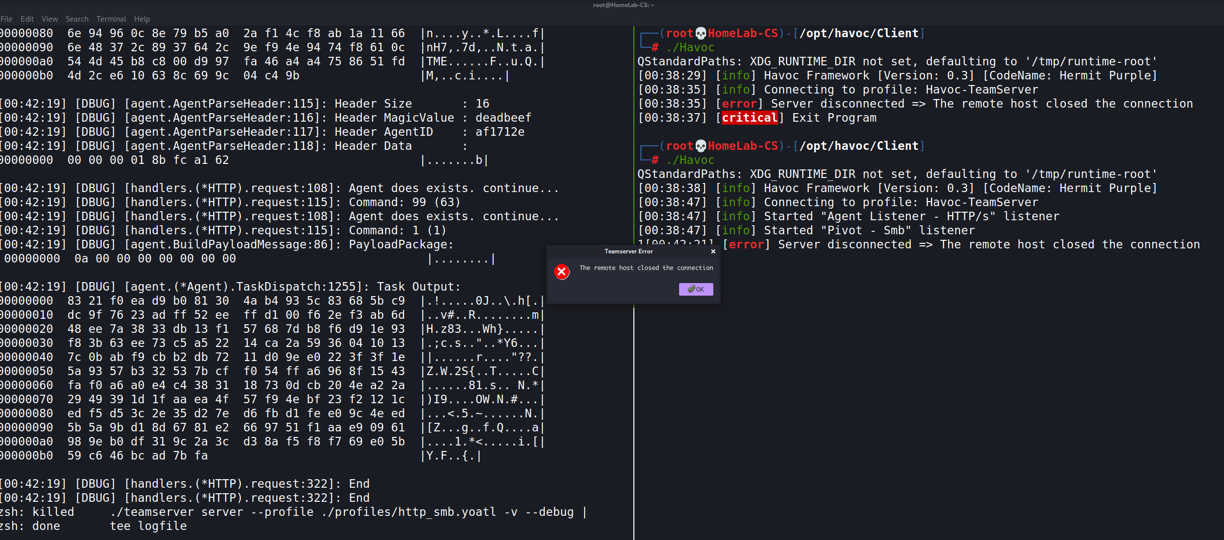 [Teamserver-Client--Bug]: Screenshot command causes the TeamServer to crash · Issue #204 ...