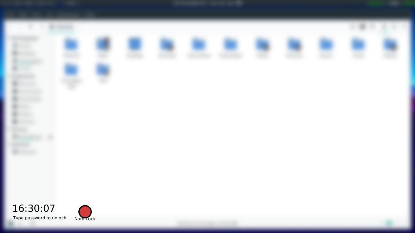 Option to hide "Num Lock" text · Issue #115 · betterlockscreen/betterlockscreen · GitHub
