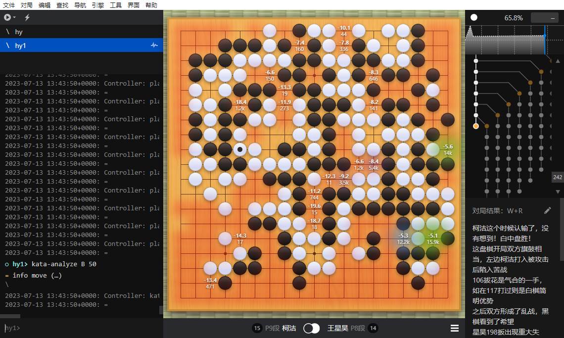 为什么卡塔狗和绝艺，针对胜负的判定不同？ · Issue #816 · lightvector/KataGo · GitHub