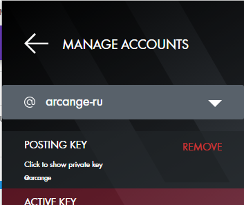 Remove display of private keys for Authorized Accounts · Issue #47 · hive-keychain/hive-keychain ...