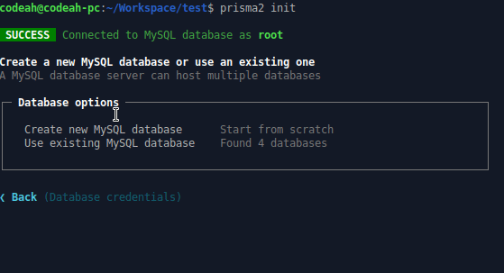 CLI 'prisma2 init' - 'Back' option doesn't work in multiple screens · Issue #1245 · prisma ...