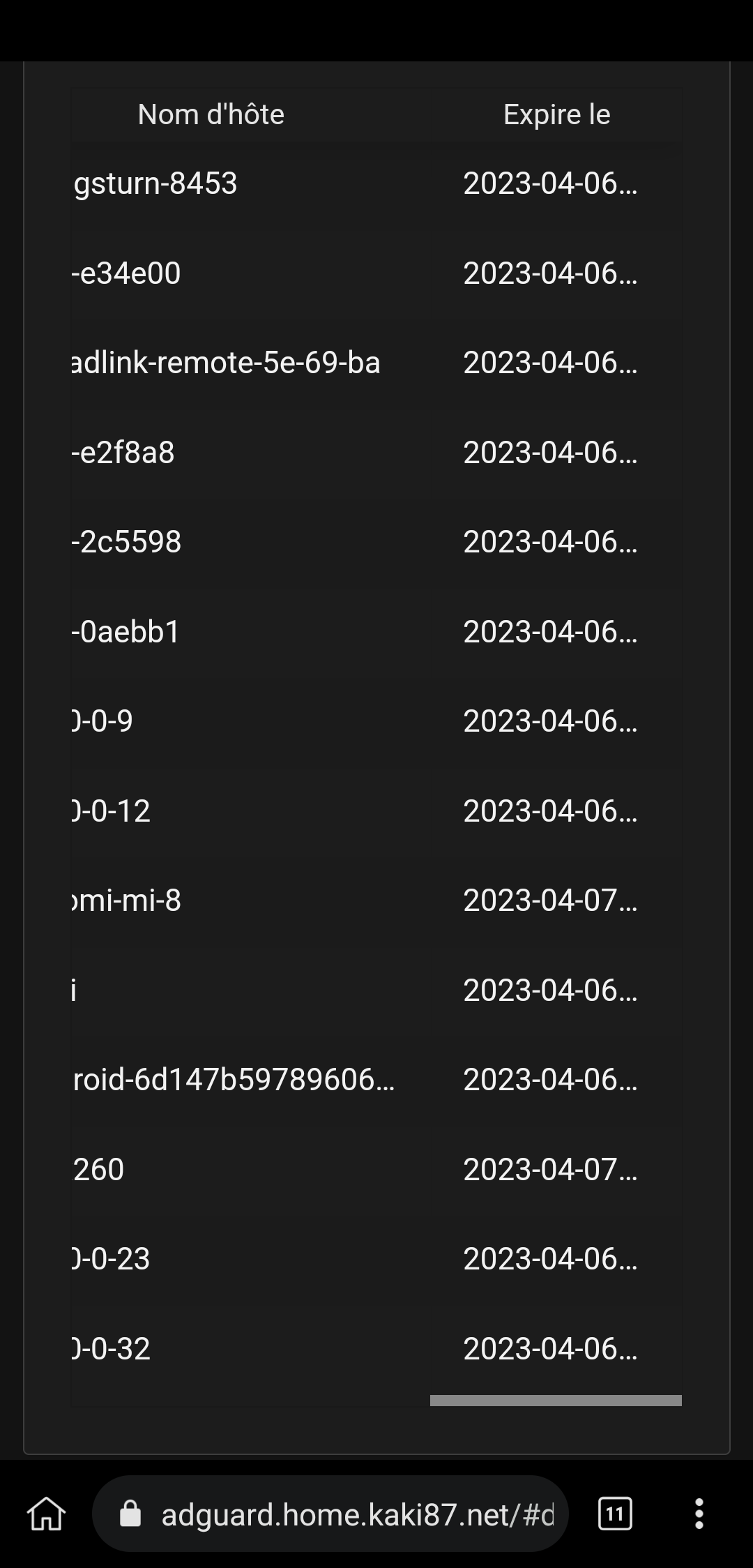 DHCP devices table unreadable on mobile · Issue #5581 · AdguardTeam/AdGuardHome · GitHub
