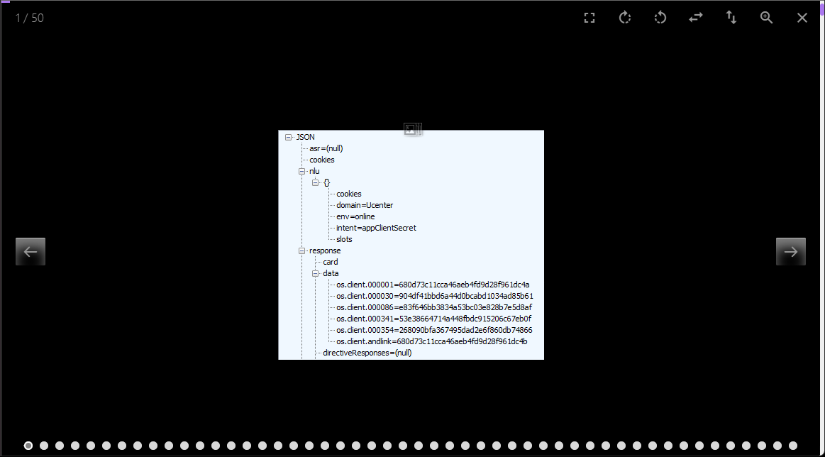 LightGallery灯箱 的左右切换按钮样式与主题默认样式冲突 · Issue #639 · mirai-mamori/Sakurairo · GitHub