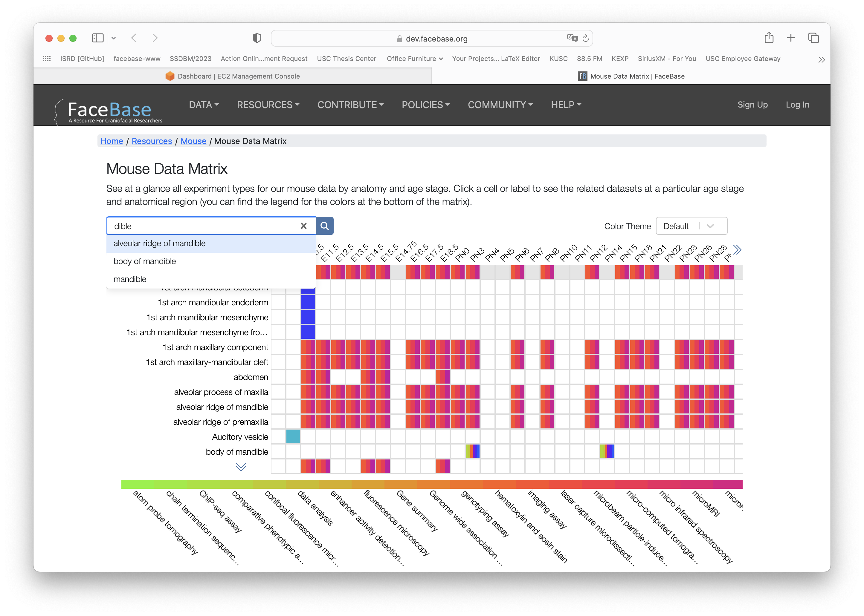 Matrix search bar is cutting content in Safari · Issue #133 · informatics-isi-edu/deriva-webapps ...