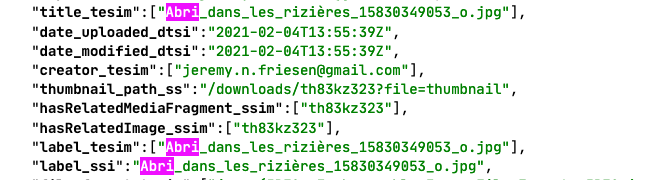 Bad Handling Of Accented Characters In File Names · Issue 3324 · Samverahyrax · Github