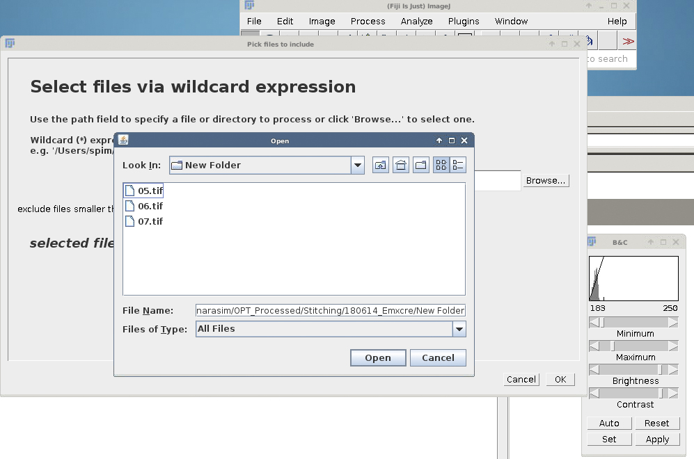Tiff stack read error · Issue #27 · PreibischLab/BigStitcher · GitHub