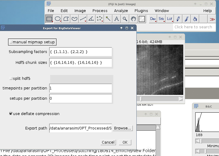 Tiff stack read error · Issue #27 · PreibischLab/BigStitcher · GitHub
