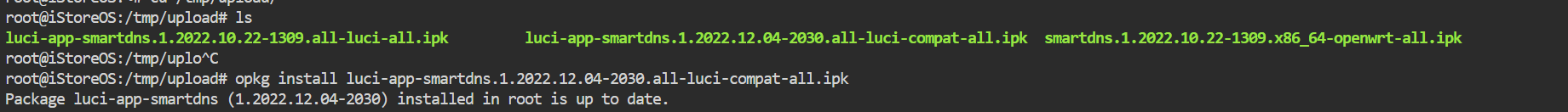 升级之前正常,升级后 一直无法运行 · Issue #1191 · pymumu/smartdns · GitHub