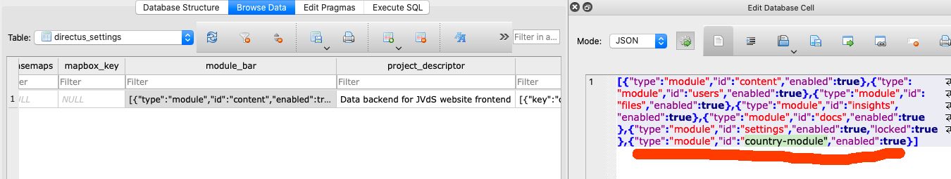 After deleting a custom module, its reference in the (SQLite) db "directus-settings" is not ...