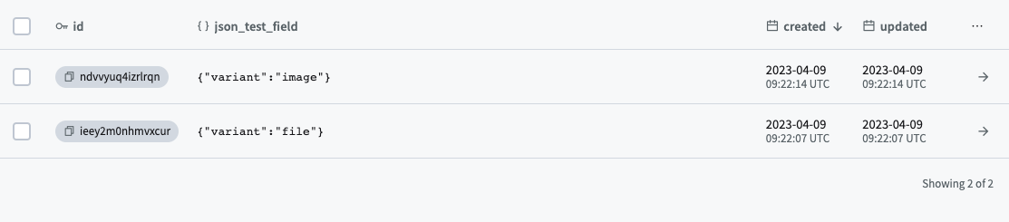 Not able to create partial index on json column · Issue #2248 · pocketbase/pocketbase · GitHub