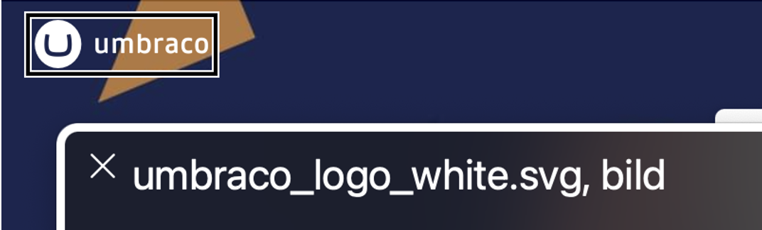 Accessibility issues on the login screen · Issue #14517 · umbraco/Umbraco-CMS · GitHub