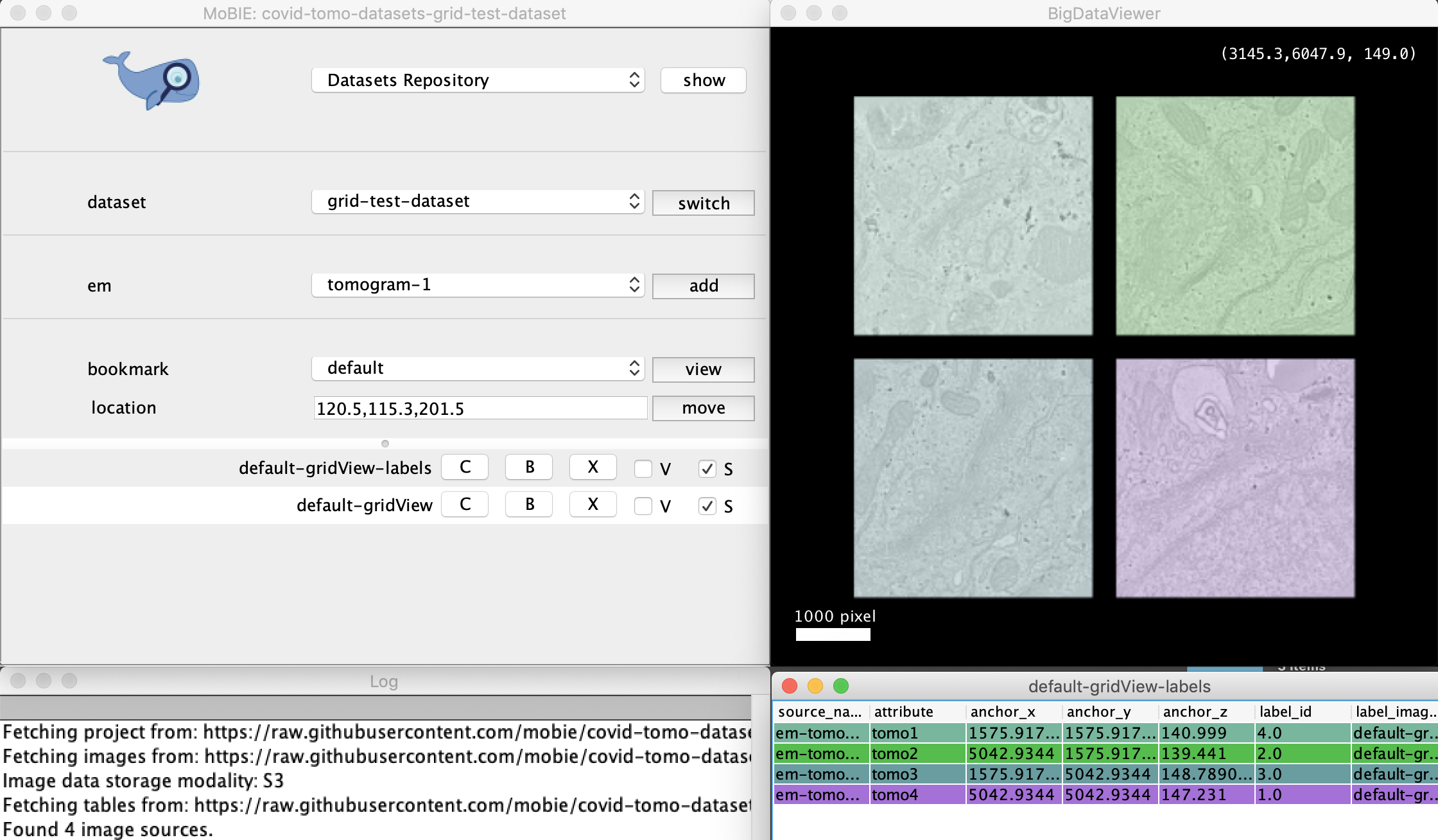 Gallery view of bookmarks/ different sources · Issue #207 · mobie/mobie ...
