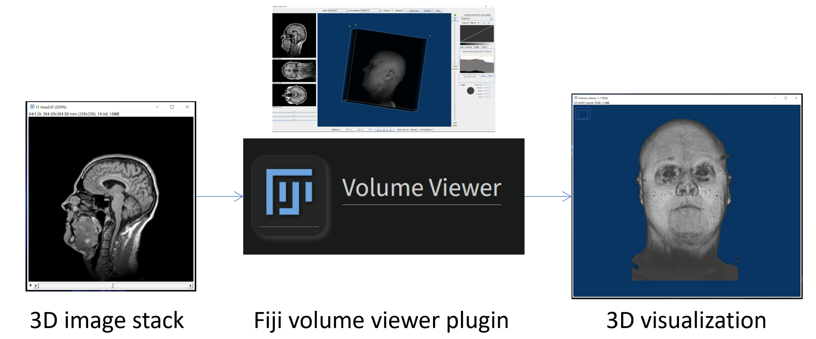 Volume Viewer: Improve Figure · Issue #246 · NEUBIAS/training-resources ...