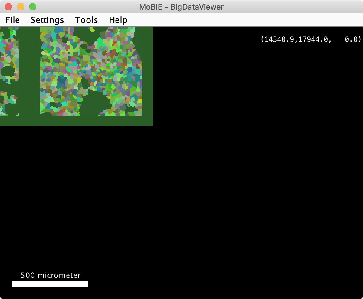Cell segment navigation is off for Covid-IF · Issue #794 · mobie/mobie ...