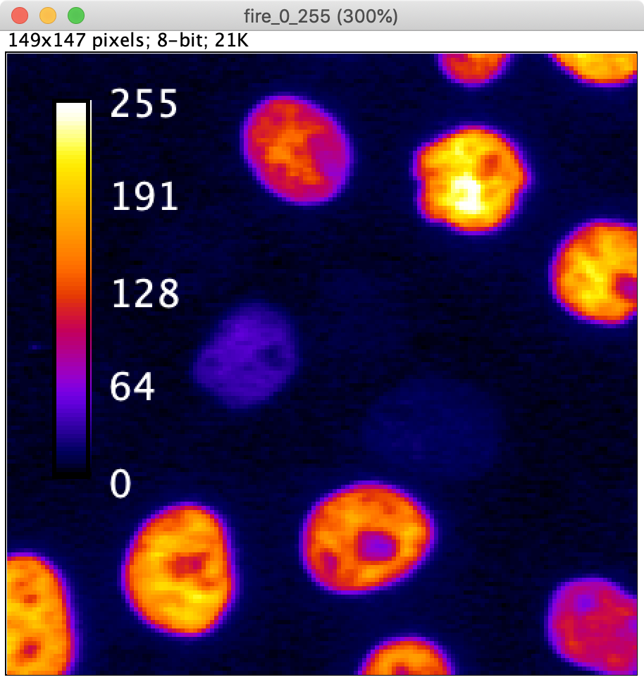 LUTs: skimage napari: Can one show the colormap? · Issue #432 · NEUBIAS ...