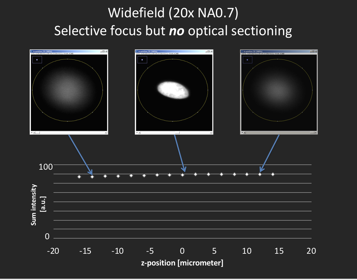 Imagej Measuring Fluorescence Intensity