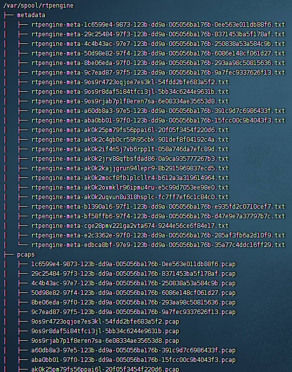Help, How to record audio files? · Issue #1528 · sipwise/rtpengine · GitHub