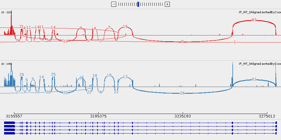 Exon annotation not matching read coverage visualization · Issue #70 · guigolab/ggsashimi · GitHub