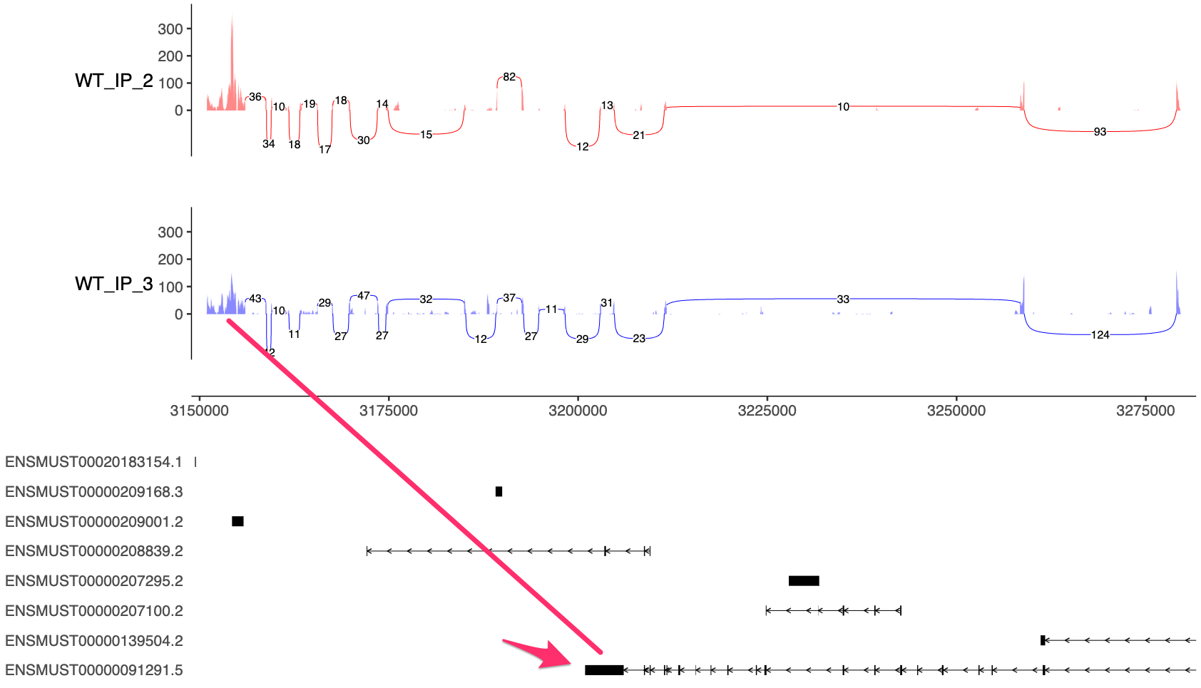 Exon annotation not matching read coverage visualization · Issue #70 · guigolab/ggsashimi · GitHub