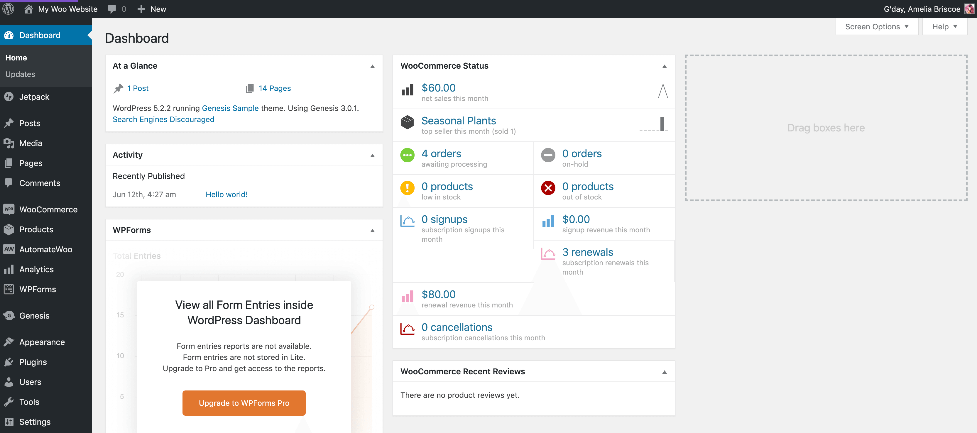 WooCommerce Dashboard Widget Display Not Showing Correctly After Addition Of Subscription 