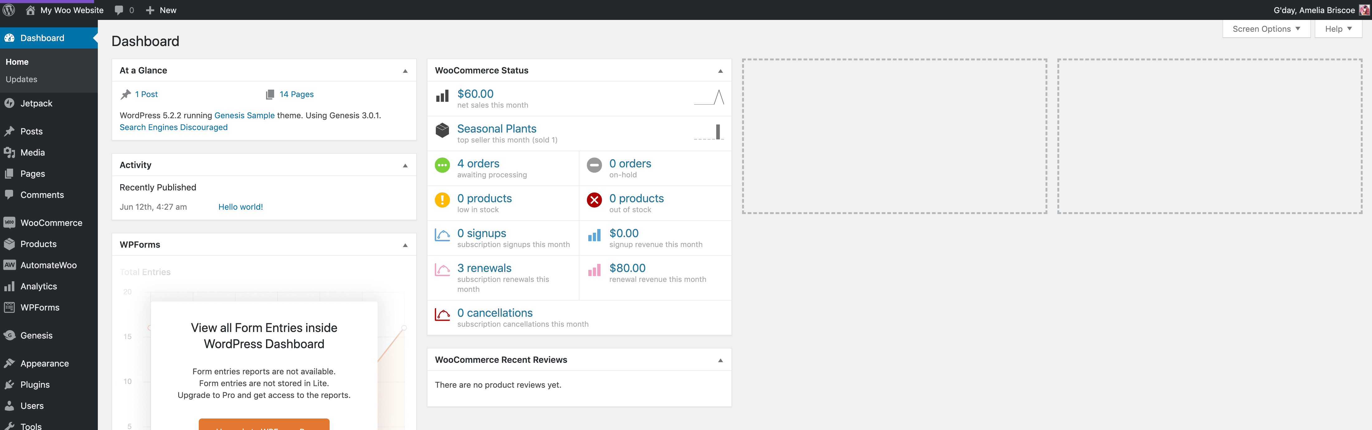 WooCommerce Dashboard widget display not showing correctly after addition of Subscription ...