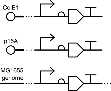 Visualisation of spatial localisation of components · Issue #37 ...