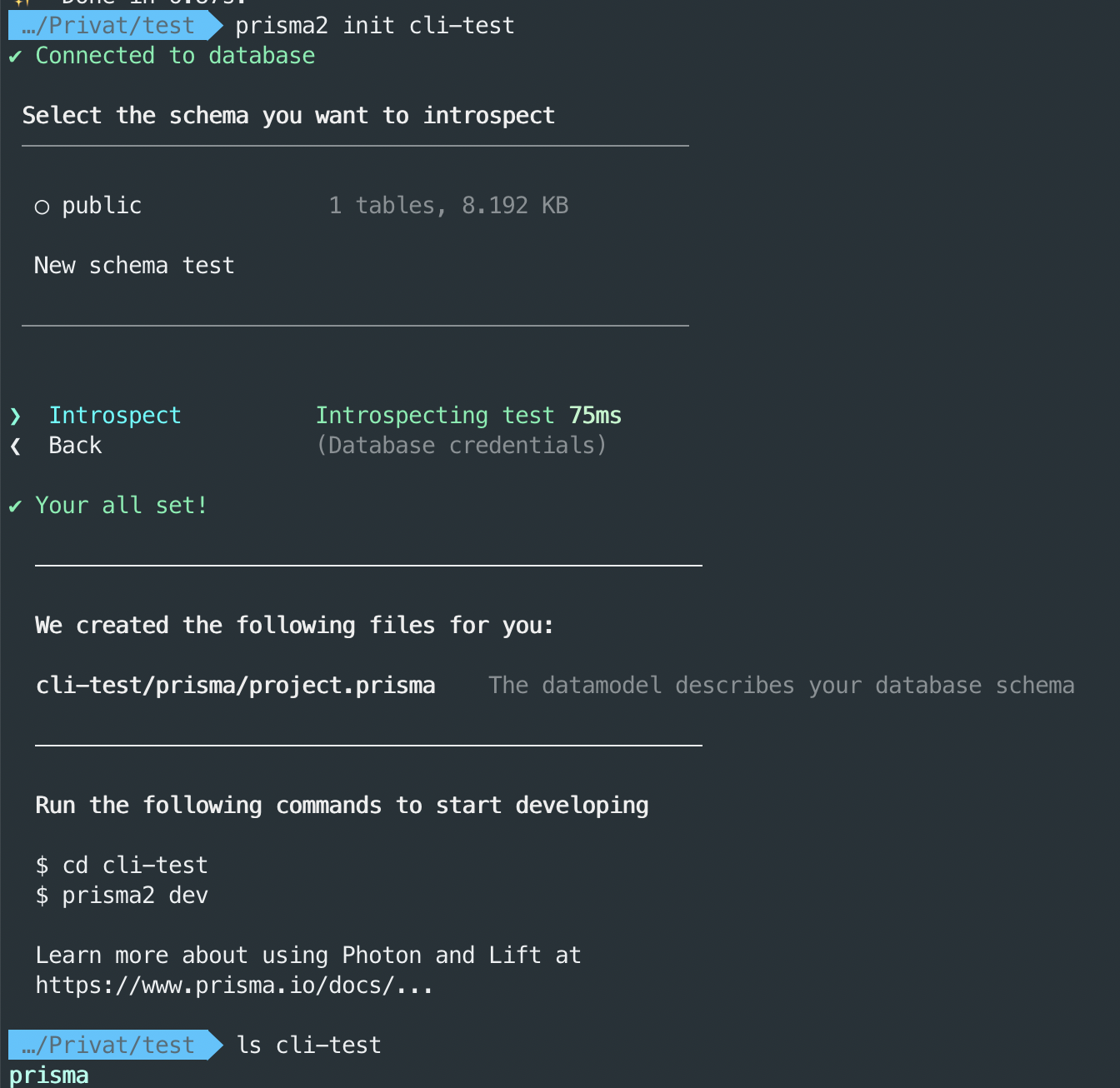 `init` Flow Only Offers Introspection Option And Terminates Early When Using A New Postgresql Db