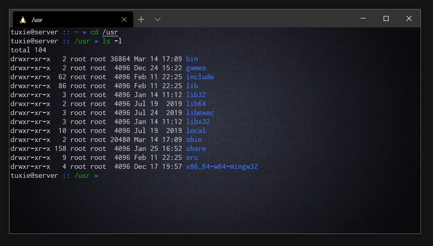 Darken or disable the window border · Issue #5486 · microsoft/terminal ...