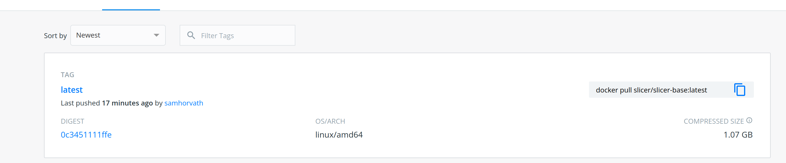 Slicer build CI step error · Issue #6392 · Slicer/Slicer · GitHub