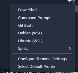 Contributed profiles should show up in new terminal dropdown · Issue #121860 · microsoft/vscode ...