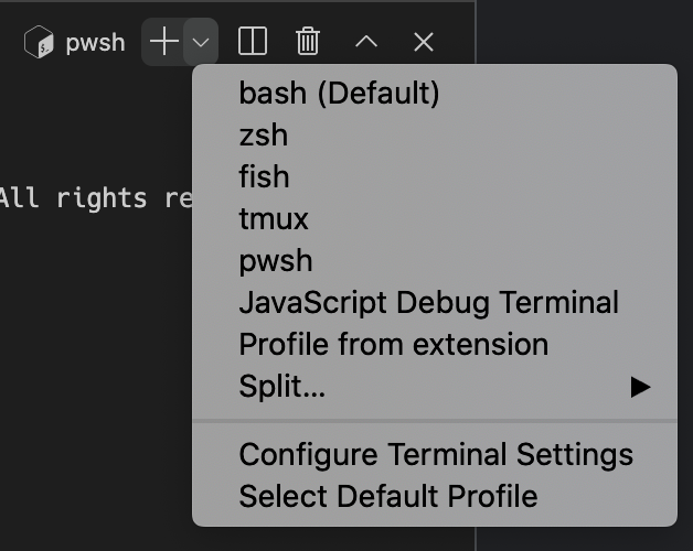 macOS pwsh not showing in default terminal profile list or new terminal list · Issue #128564 ...