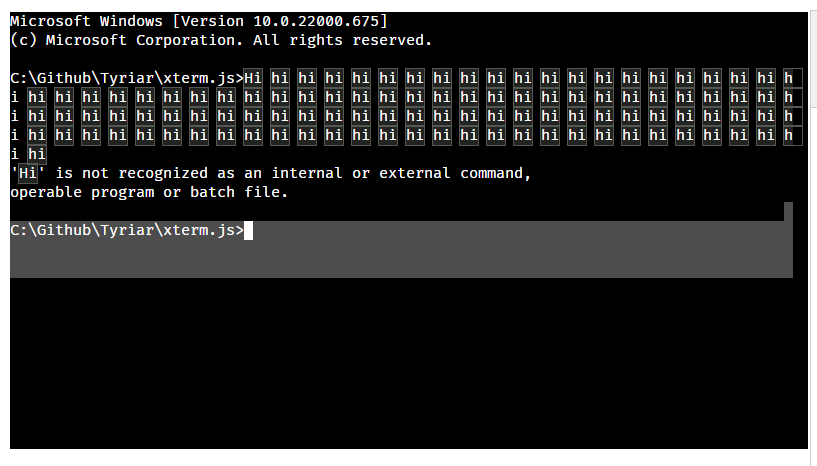 Search Border Background Not Positioned Correctly When Match Is Wrapped · Issue 3833 · Xtermjs
