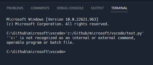 Double backslashes when workbench.action.terminal.runActiveFile is run ...