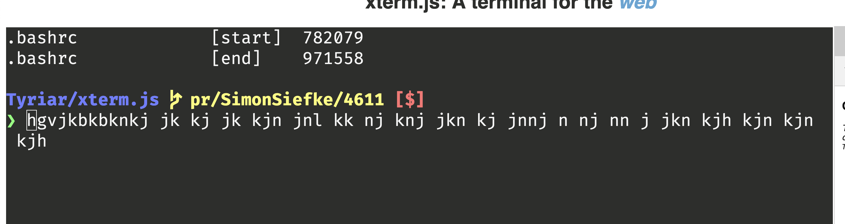 Last char on the line not visible (wrapped) for some fonts · Issue #4601 · xtermjs/xterm.js · GitHub