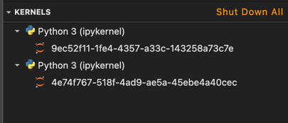 Custom Jupyter Server · Issue #83 · datalayer/jupyter-ui · GitHub