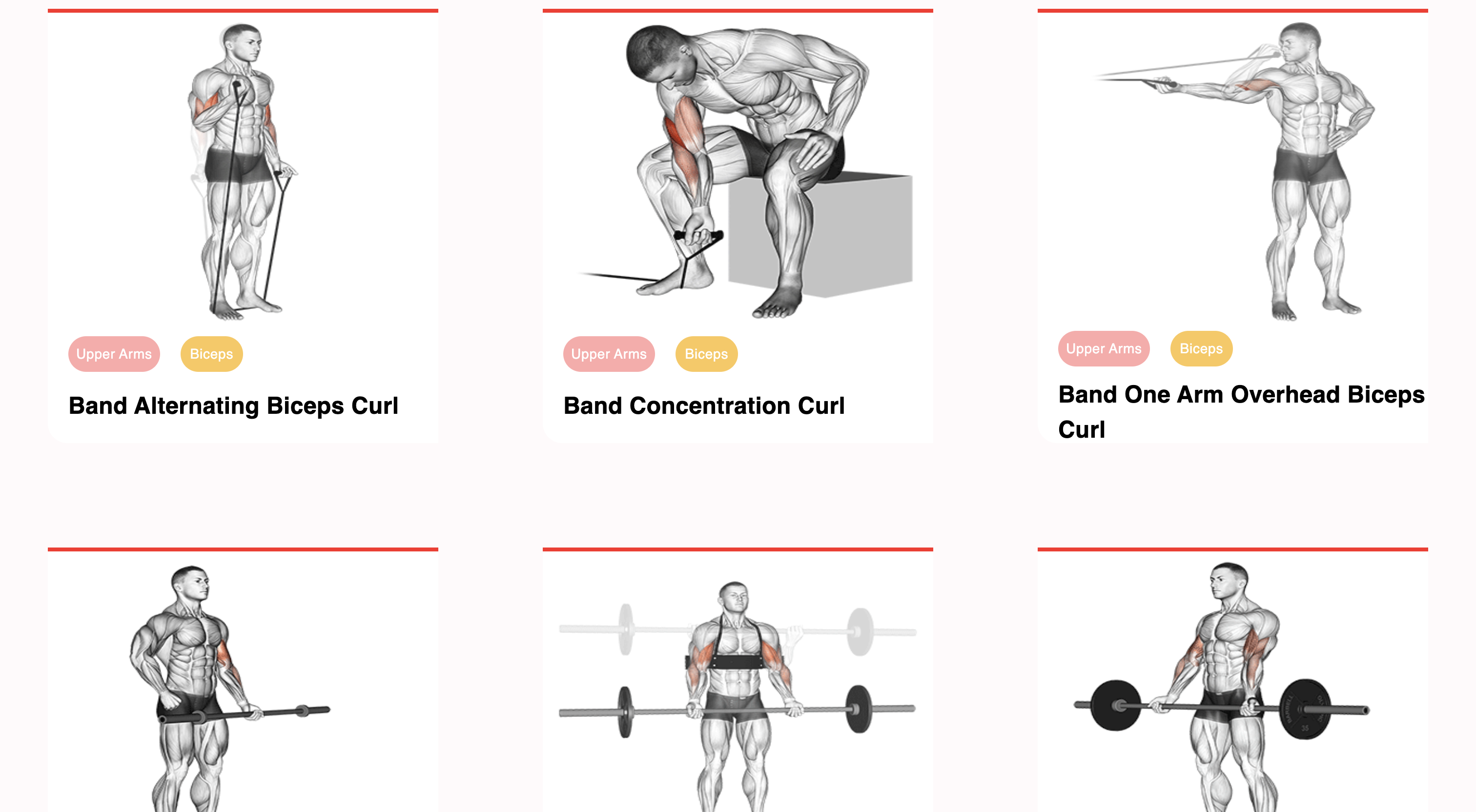Github Wrishav Gym Guide