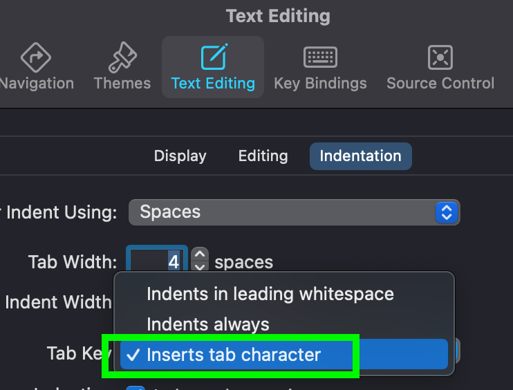 Indent issue after commit and pushing changes to remote · Issue #1524 · github/VisualStudio · GitHub