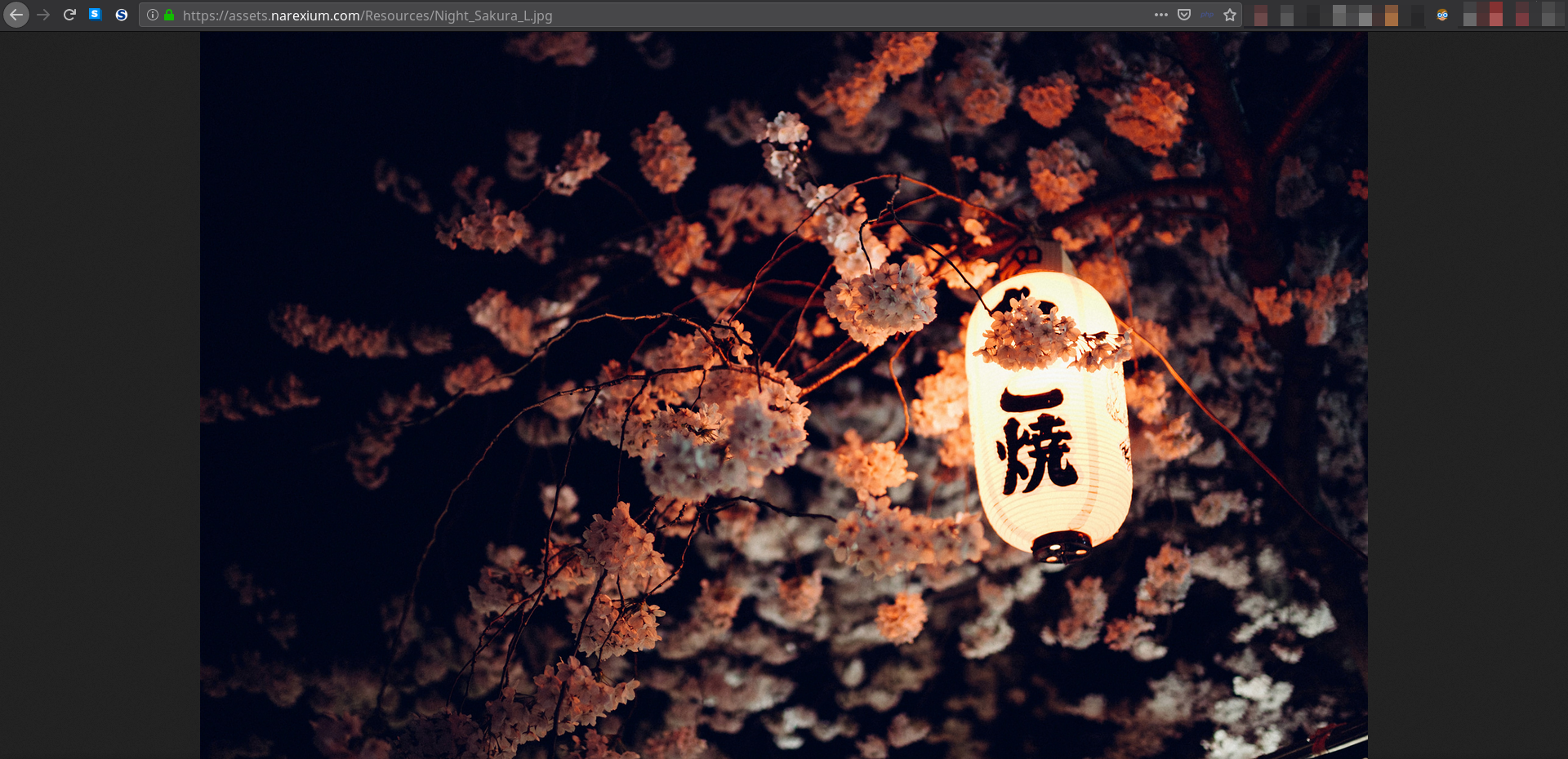 Firefox Rendering Bug · Issue #817 · darkreader/darkreader · GitHub