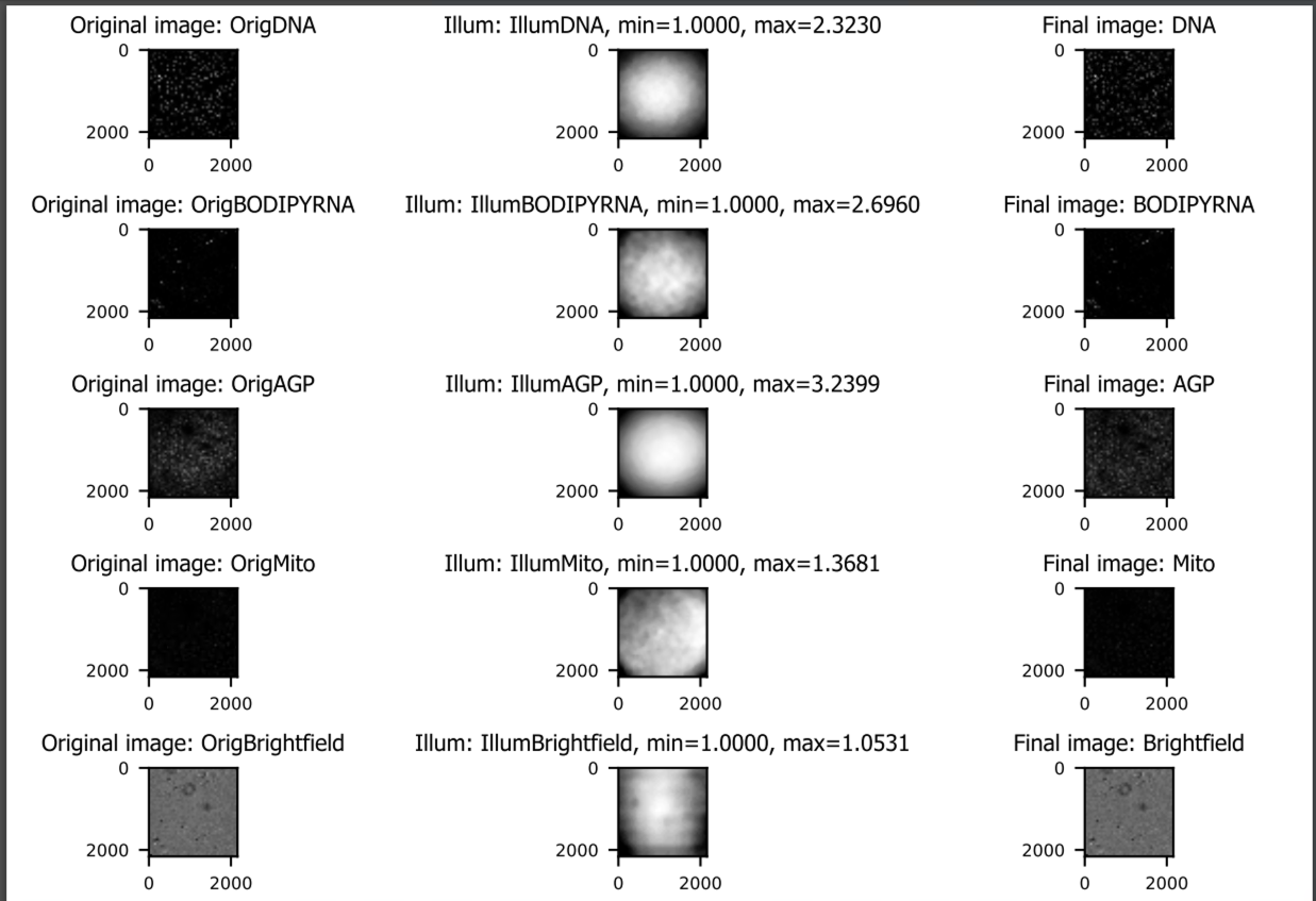 BATCH22_Project_2019_08_03_Adipocyte_CellPainting_Claussnitzer · broadinstitute PaulaLlanos ...